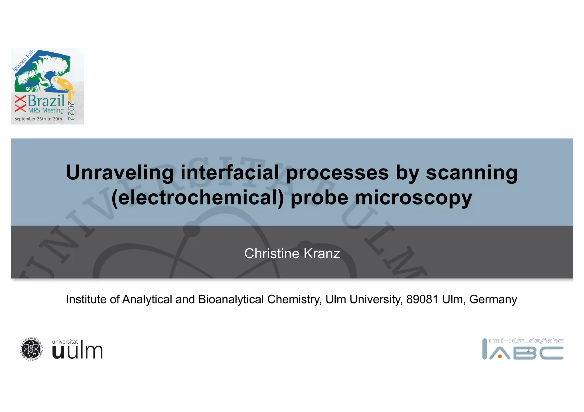 Unraveling interfacial processes by scanning (electrochemical) probe ...