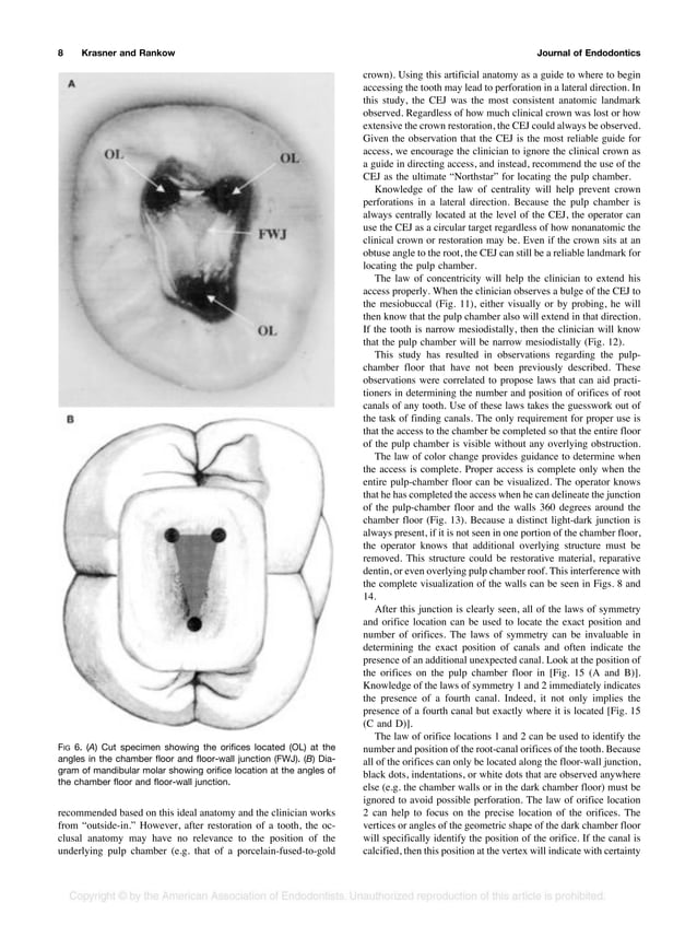 Anatomy of the Pulp-Chamber Floor | PDF | Dental Health | Diseases and ...