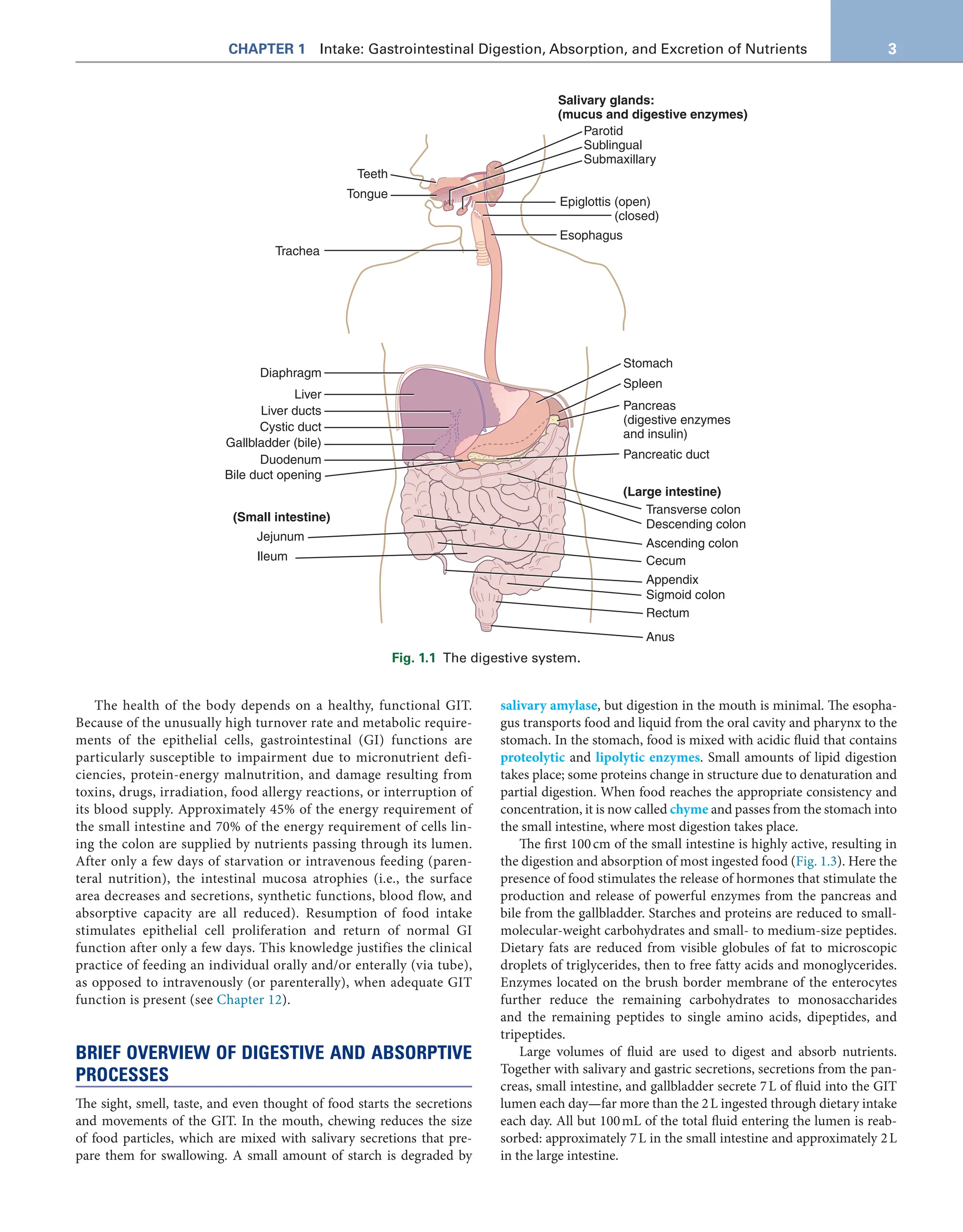 Krause and Mahan's Food and Nutrition Care Process 16th Edition.pdf