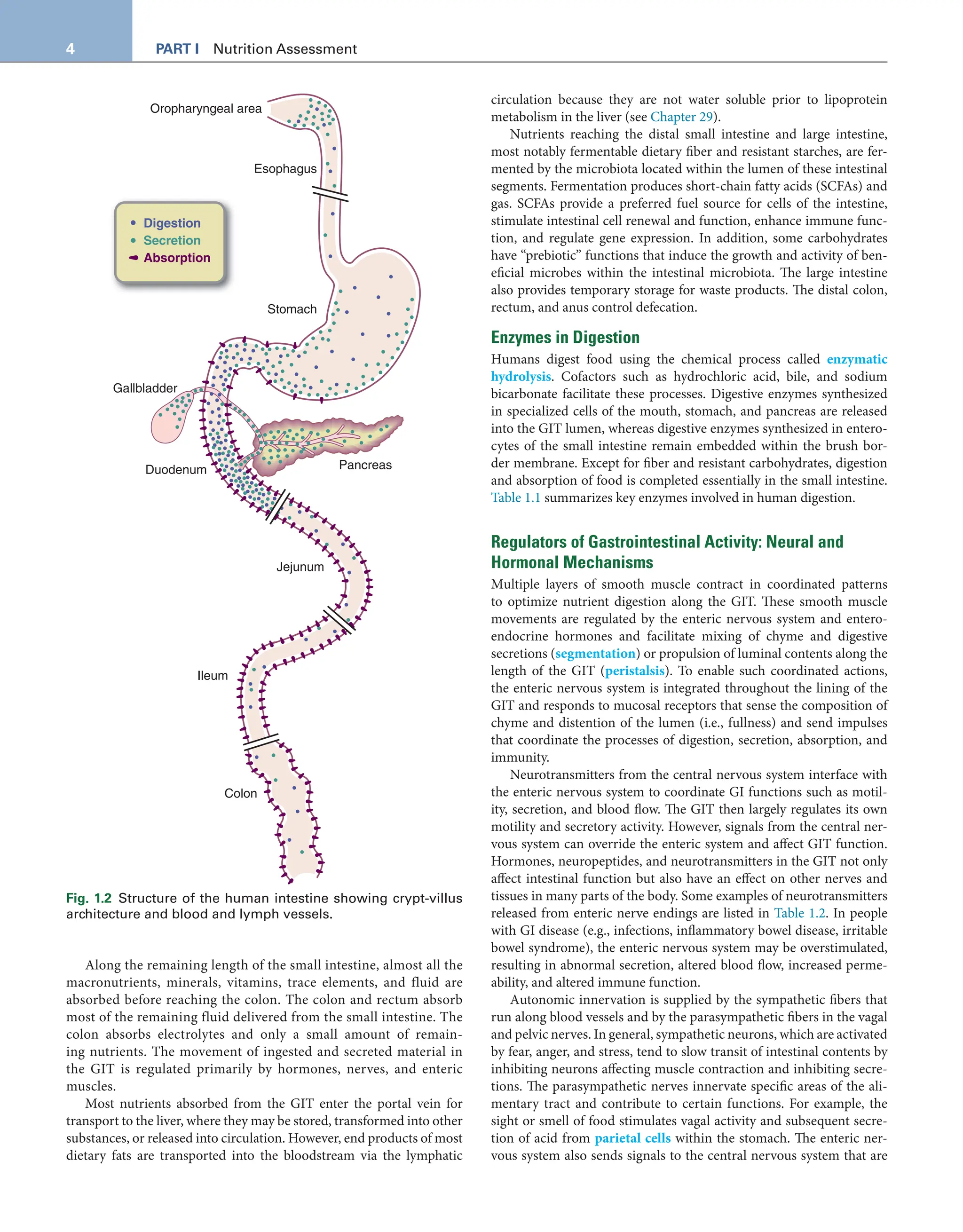 Krause and Mahan's Food and Nutrition Care Process 16th Edition.pdf