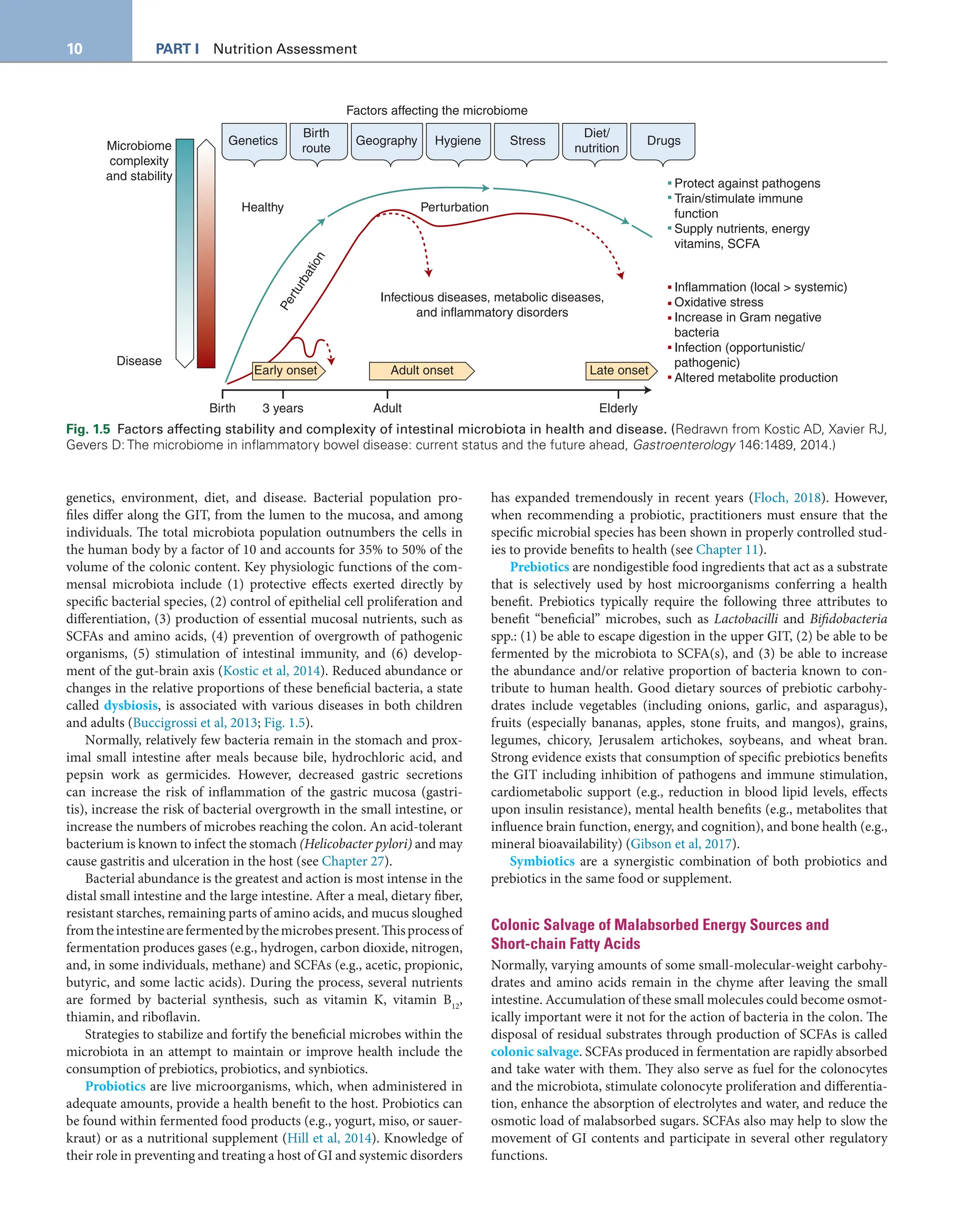 Krause and Mahan's Food and Nutrition Care Process 16th Edition.pdf