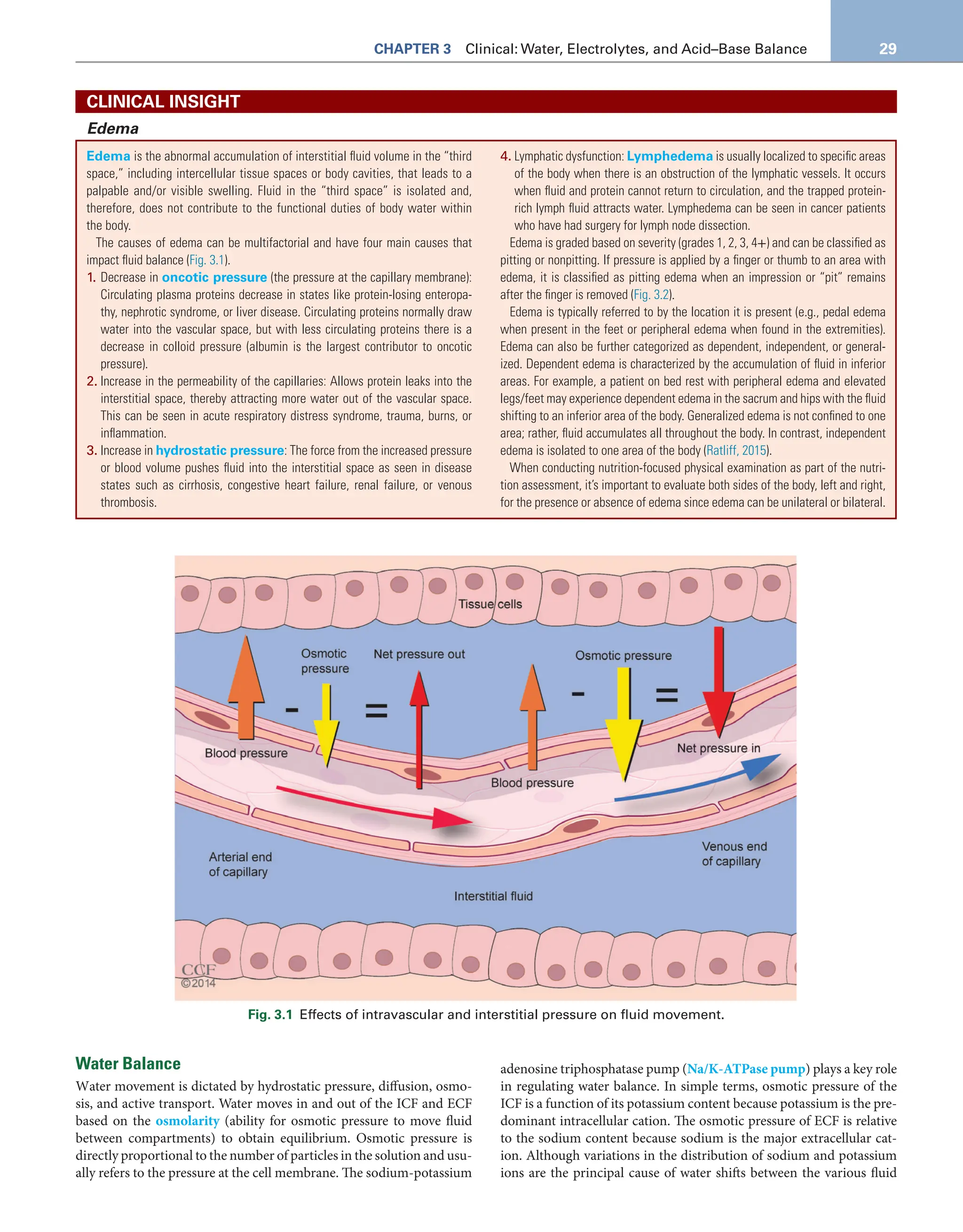 Krause and Mahan's Food and Nutrition Care Process 16th Edition.pdf