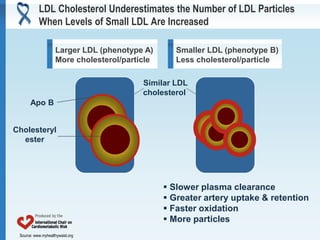 Update on Management of Atherogenic Dyslipidemia of Insulin Resistance ...