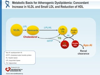 Update on Management of Atherogenic Dyslipidemia of Insulin Resistance ...