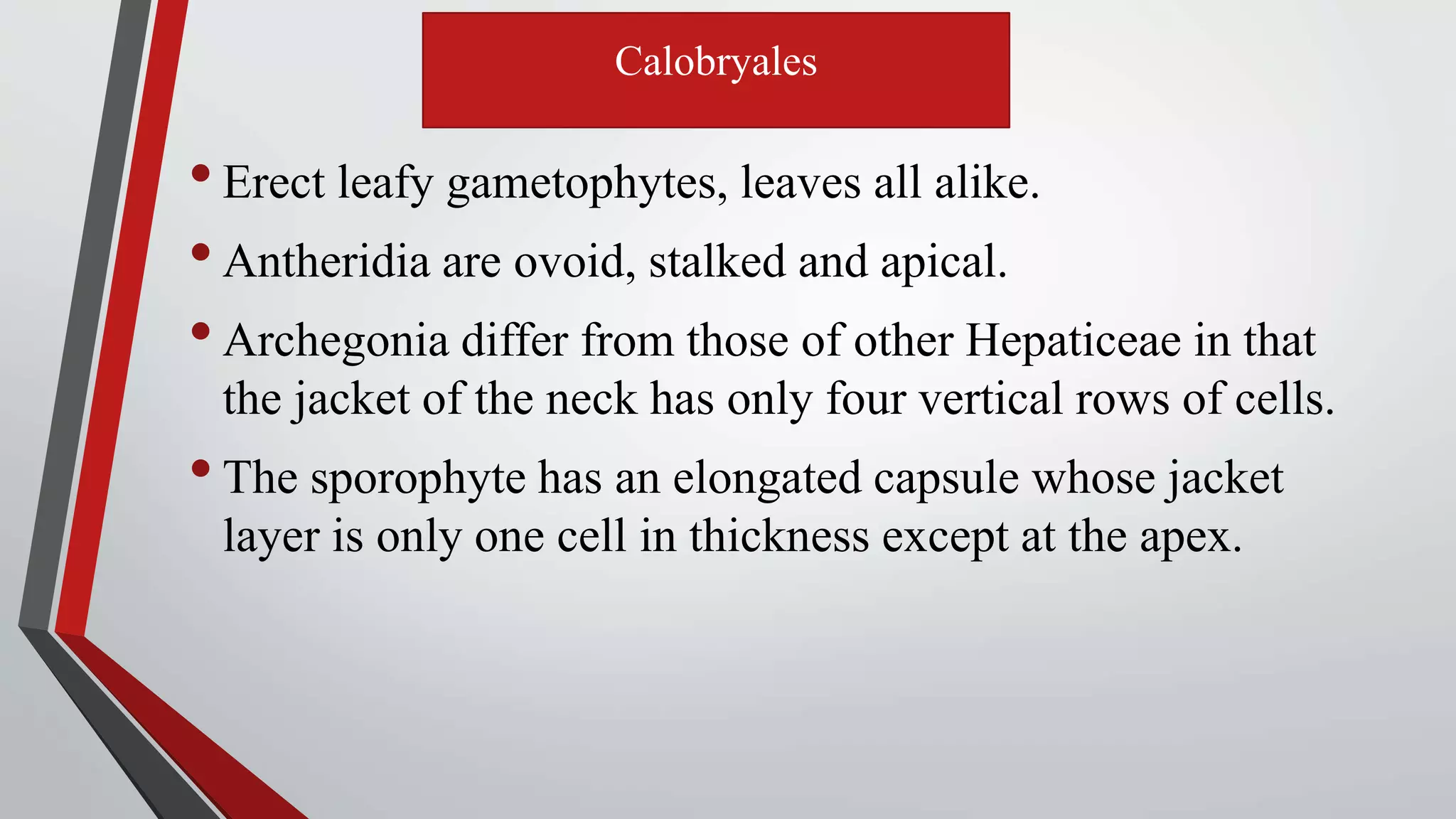 Kr bryophyta classification | PPTX