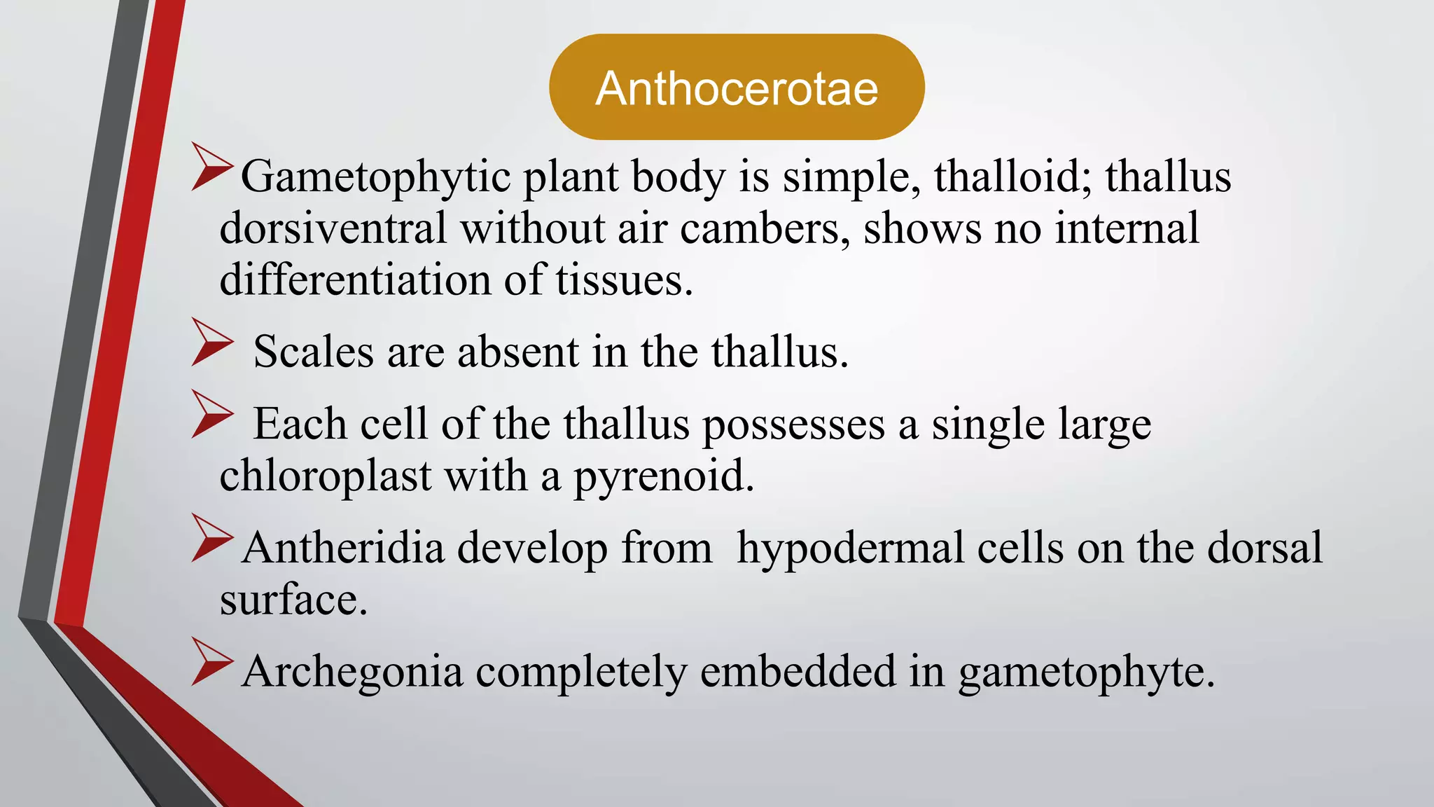 Kr bryophyta classification | PPTX