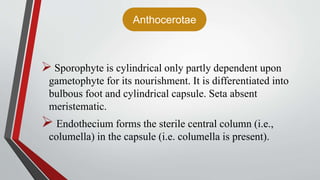 Kr bryophyta classification | PPTX