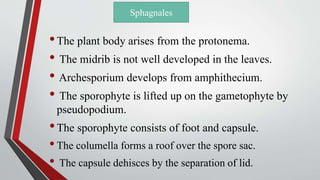 Kr bryophyta classification | PPTX