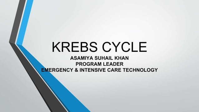 Kreb Cycle and steps involved in kreb cycle | PPTX | Chemistry | Science