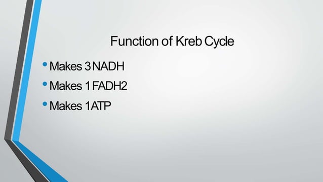 Kreb Cycle and steps involved in kreb cycle | PPTX | Chemistry | Science