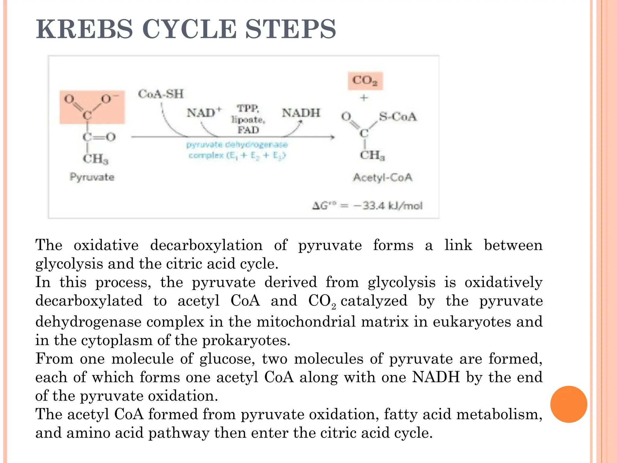biochemistry for nursing Krebs and ETC.pptx