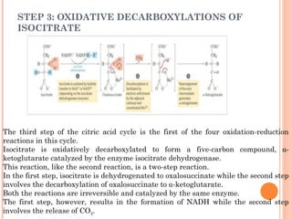 biochemistry for nursing Krebs and ETC.pptx