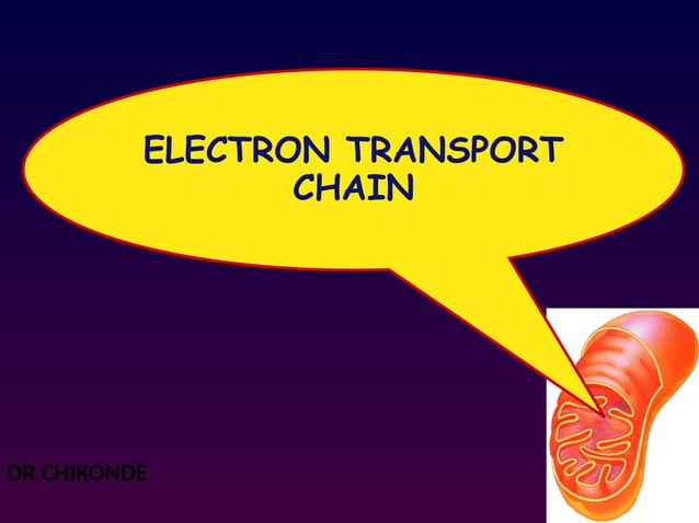 biochemistry for nursing Krebs and ETC.pptx