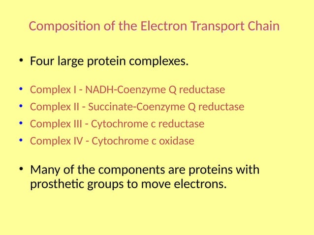 biochemistry for nursing Krebs and ETC.pptx