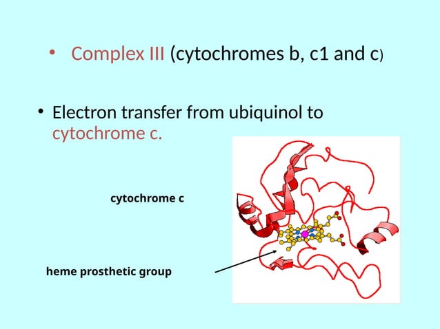 biochemistry for nursing Krebs and ETC.pptx