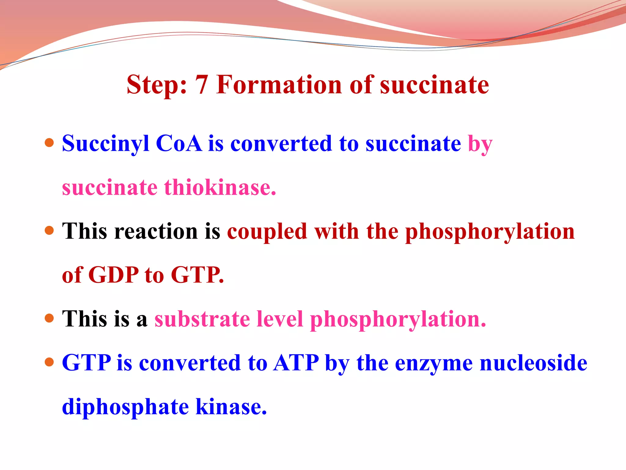 Krebs cycle | PPTX