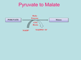 Krebs cycle | PPT