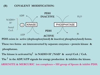 Krebs cycle | PPT