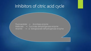 Krebs cycle- significance,steps,energetics,inhibitors,amphibolic | PPTX