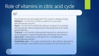Krebs cycle- significance,steps,energetics,inhibitors,amphibolic | PPTX