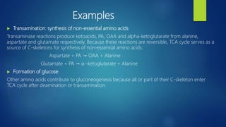 Krebs cycle- significance,steps,energetics,inhibitors,amphibolic | PPTX