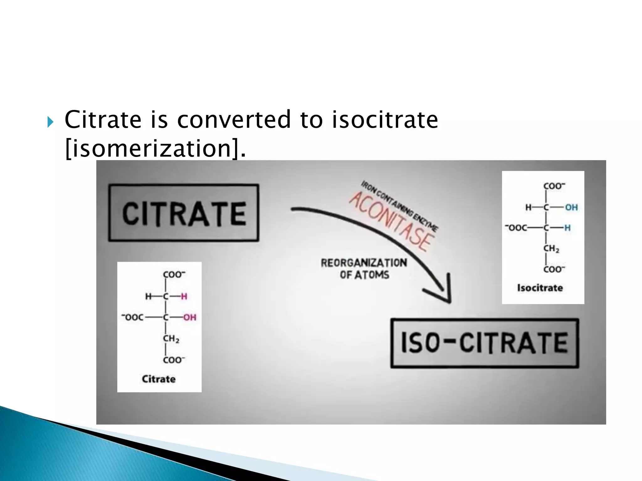 Krebs cycle | PPTX