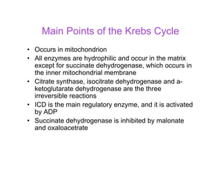 Krebs Cycle - 2008 BIOCHEM 201.pdf