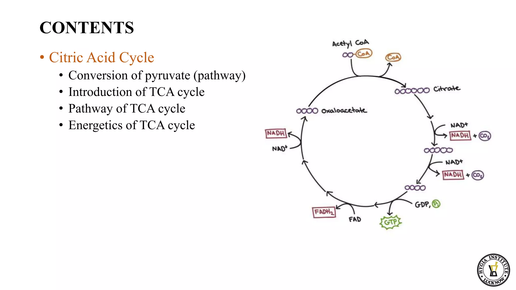 Kreb's Cycle.pptx