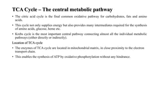 Kreb's Cycle.pptx