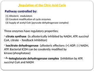 KREB'S CYCLE or citric acid cycle 1.pptx