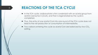 Genaral biology topic on krebs cyclce.pdf