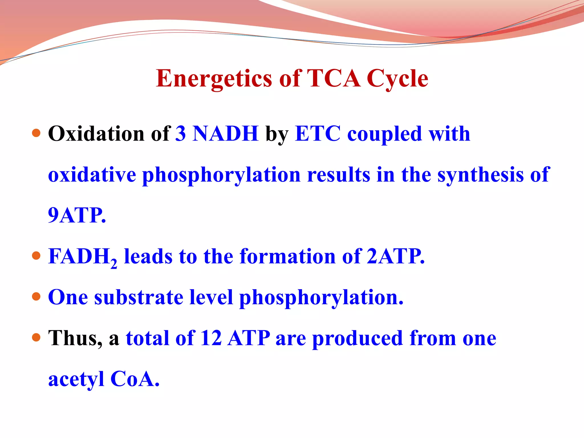 TCA CYCLE & ITS REGULATION | PPTX