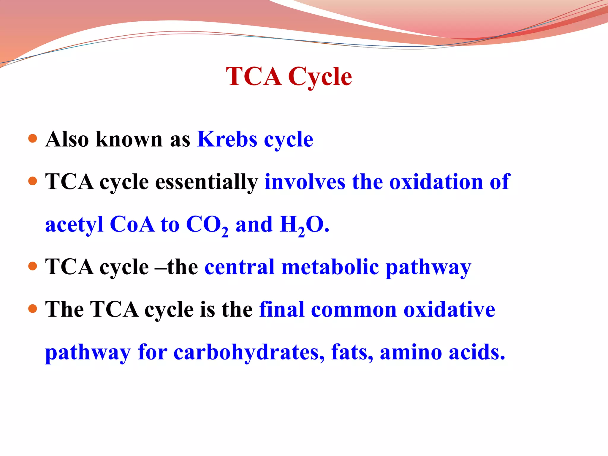 TCA CYCLE & ITS REGULATION | PPTX
