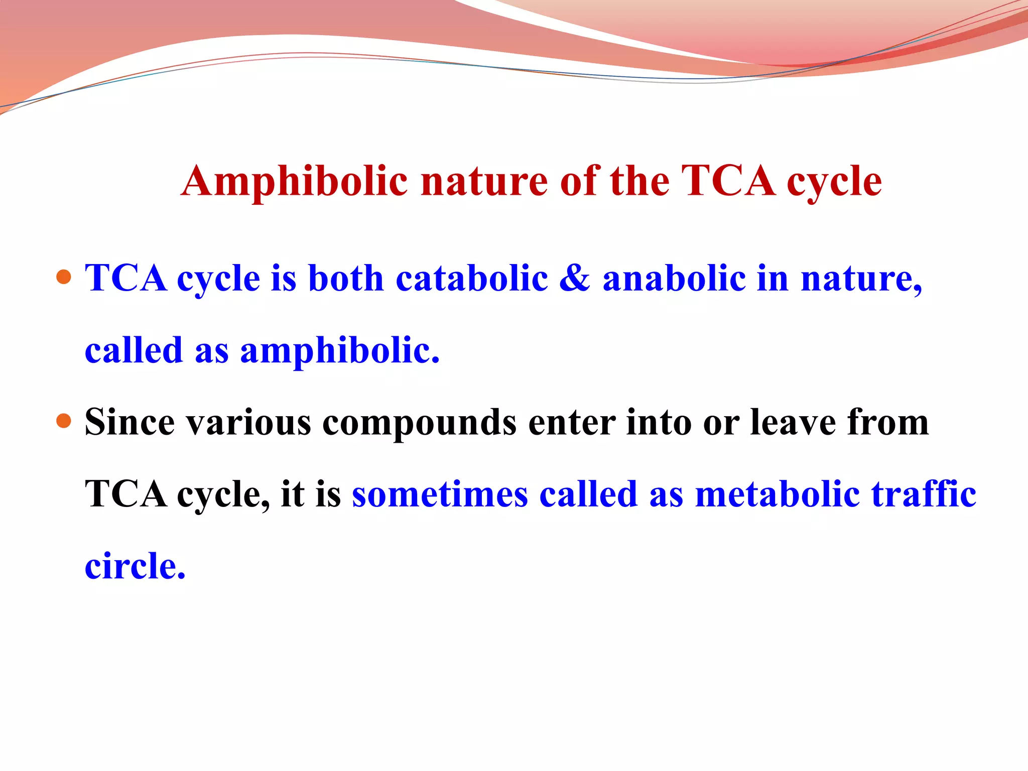 TCA CYCLE & ITS REGULATION | PPTX