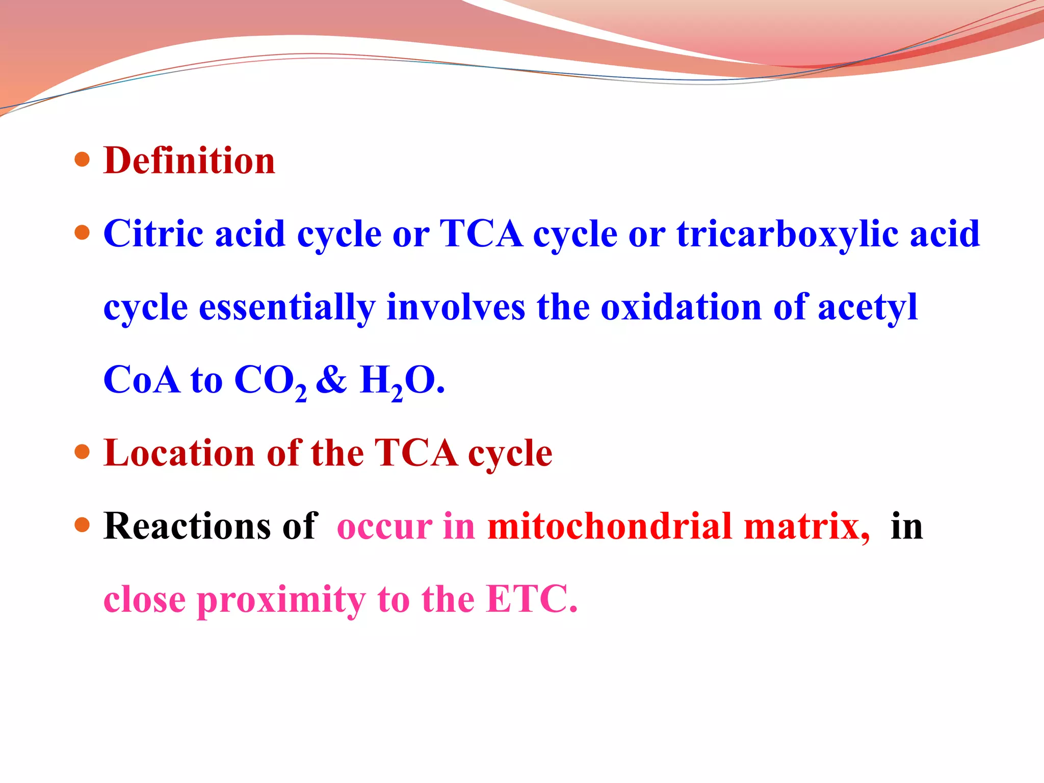 TCA CYCLE & ITS REGULATION | PPTX