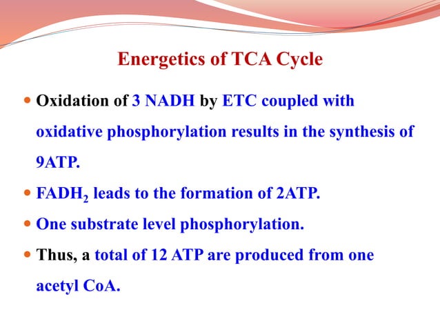 TCA CYCLE & ITS REGULATION | PPTX | Endocrine and Metabolic Diseases ...