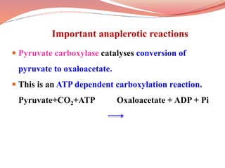TCA CYCLE & ITS REGULATION | PPTX