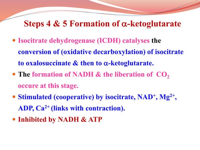 TCA CYCLE & ITS REGULATION | PPTX | Endocrine and Metabolic Diseases ...