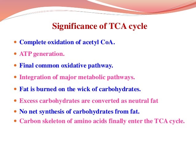 TCA CYCLE & ITS REGULATION
