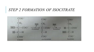 krebscycle/TCA cycle-Metabolic pathways.pptx