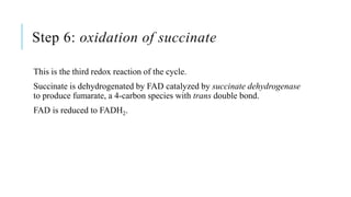 krebscycle/TCA cycle-Metabolic pathways.pptx