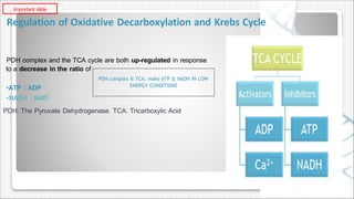 KREBS CYCLE or Tricitric Acid in mitochondria1.pptx
