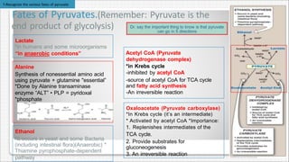 KREBS CYCLE or Tricitric Acid in mitochondria1.pptx