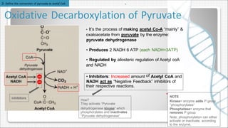 KREBS CYCLE or Tricitric Acid in mitochondria1.pptx