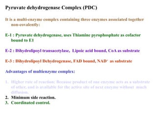 Krebs cycle and enzymes final 12 OCT 23.pptx