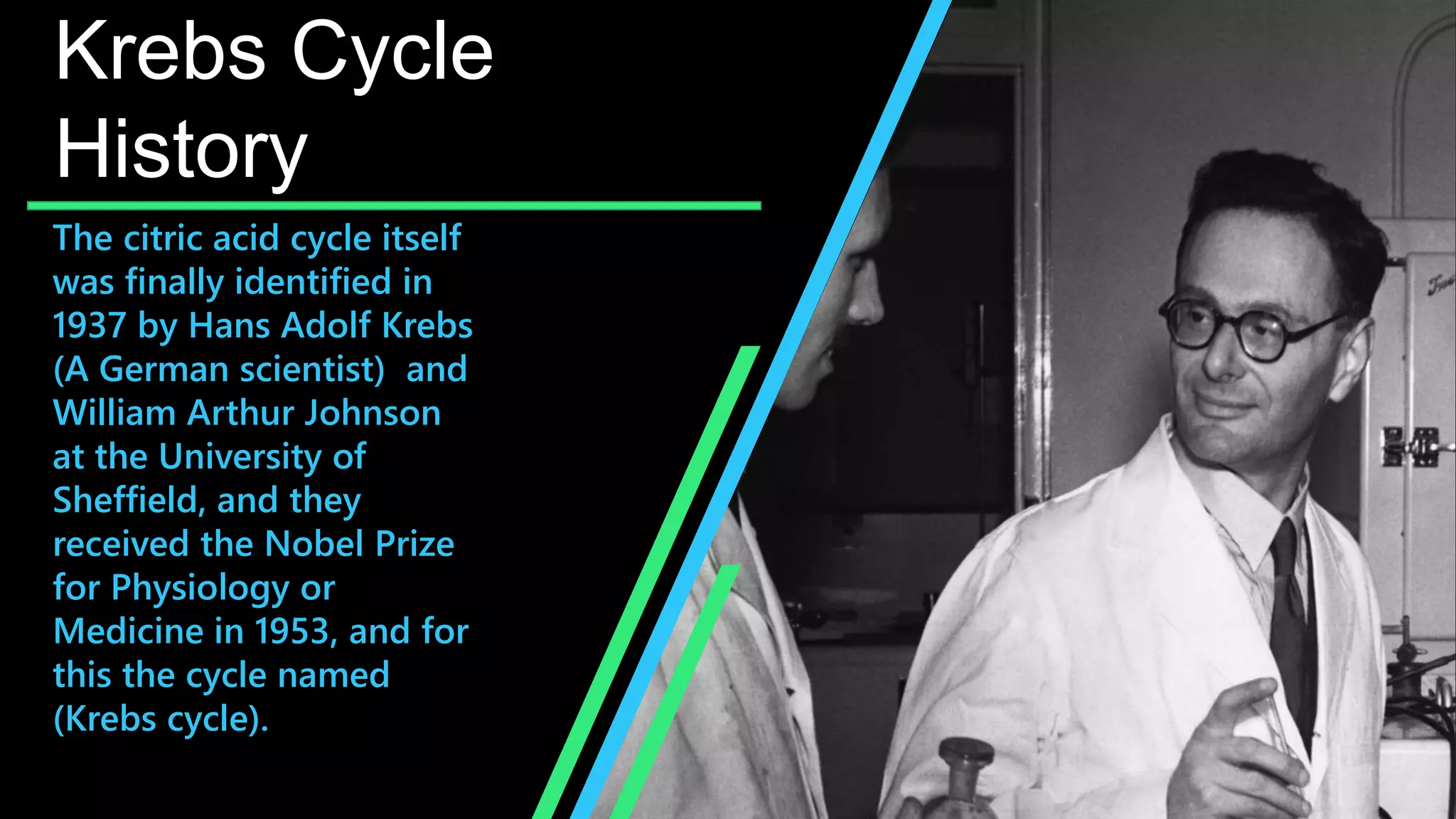 Krebs cycle importance | PPTX