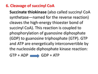 Krebs cycle lec 5 6 audio 1 | PPTX