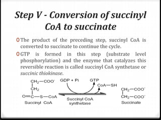 Krebs cycle or citric acid cycle or TCA Cycle | PPTX | Endocrine and ...