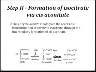 Krebs cycle or citric acid cycle or TCA Cycle | PPTX | Endocrine and ...