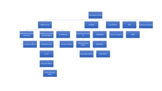 Organisation structure for a Solar Renewable company | PPTX